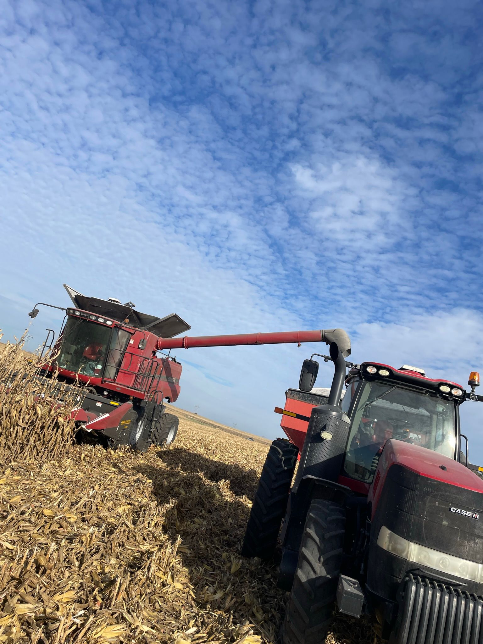 【決定】[JBCNメンバー限定]米国アイオワ州農業視察ツアー - 日本バイオ作物ネットワーク